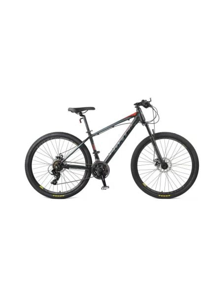 Foxter MTB 29" – 24 Gir – Grå/Svart – RX Sport